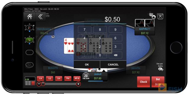 ACR Poker - Pro's Review in Jan 2026